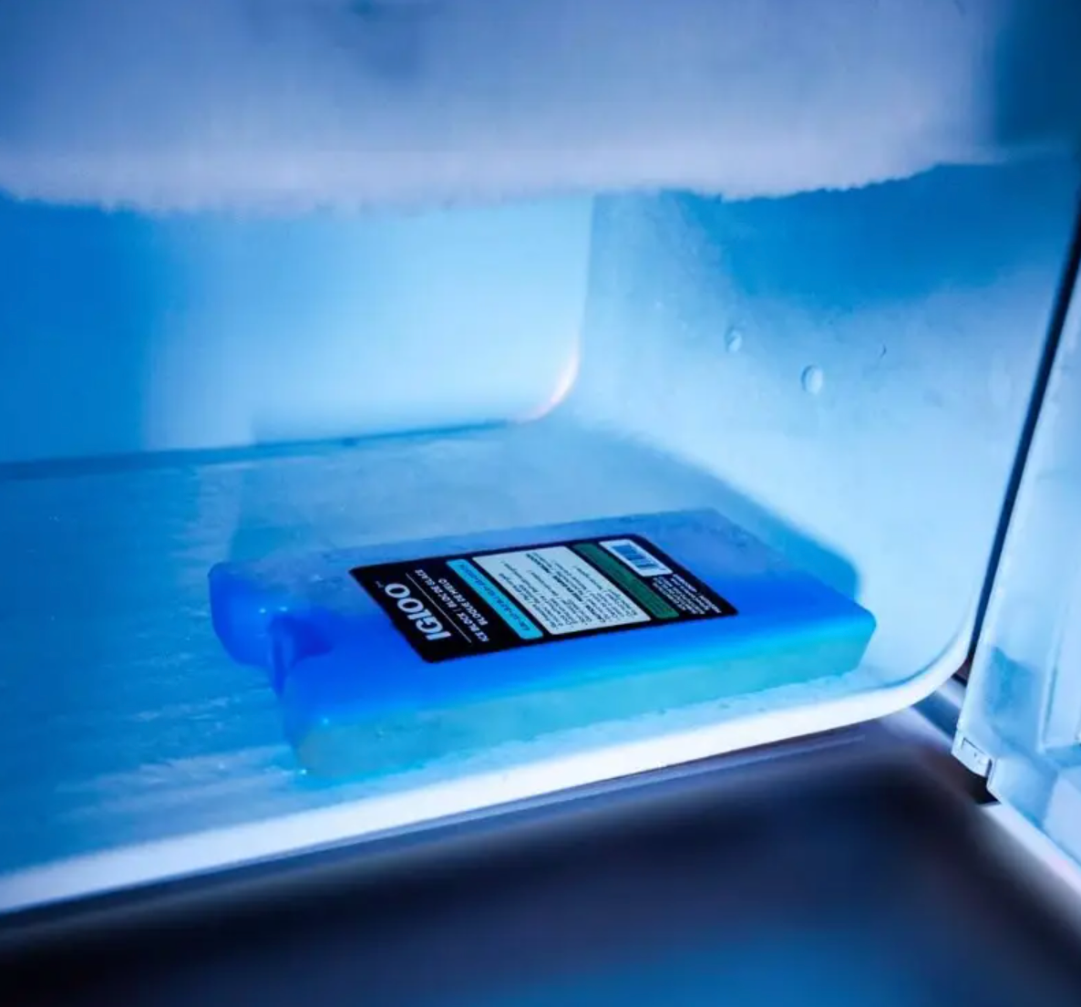 Igloo MaxCold Reusable Ice Blocks - Nova First Aid – NovaSoundTechnology